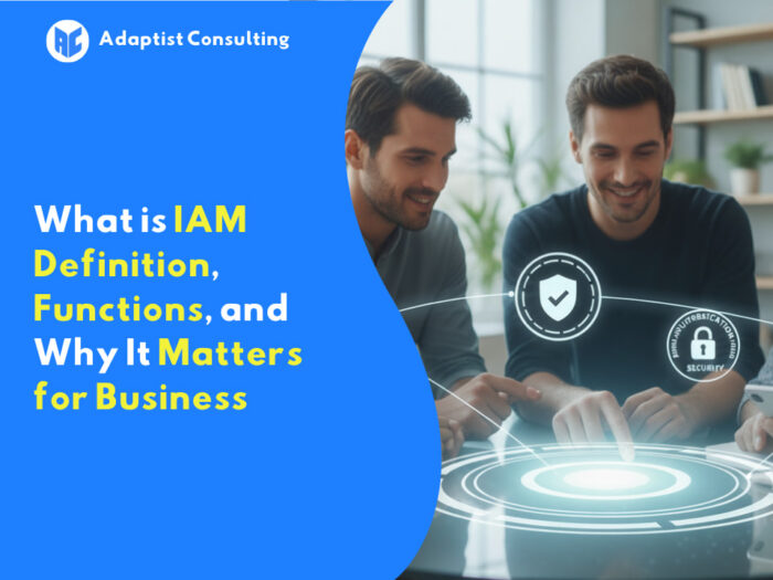 What is Identity and Access Management (IAM)?