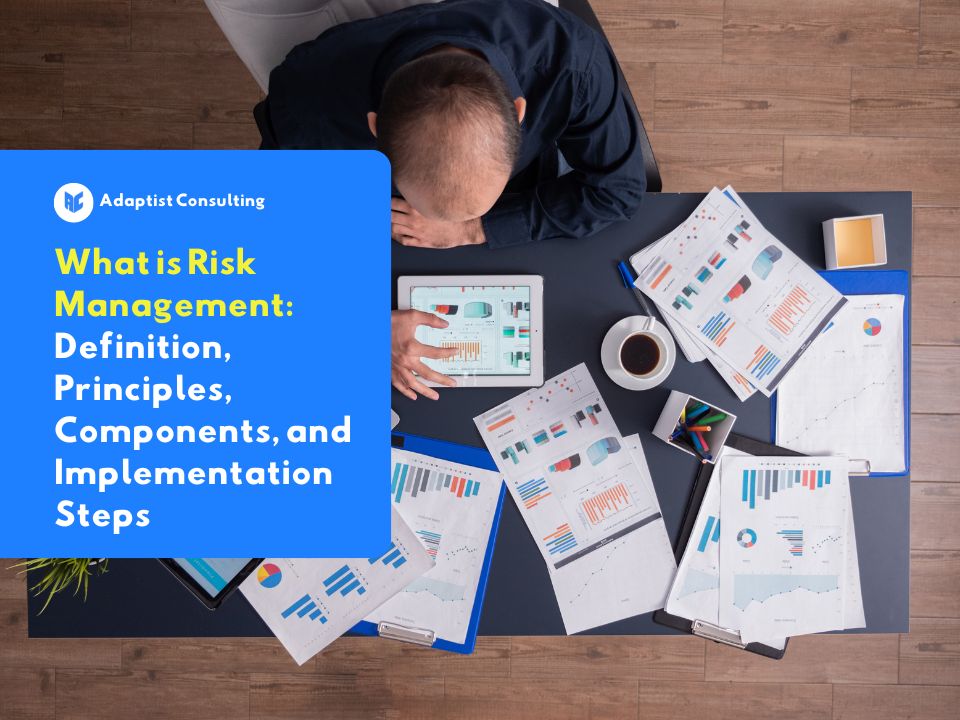 What is Risk Management: Definition and Implementation Steps