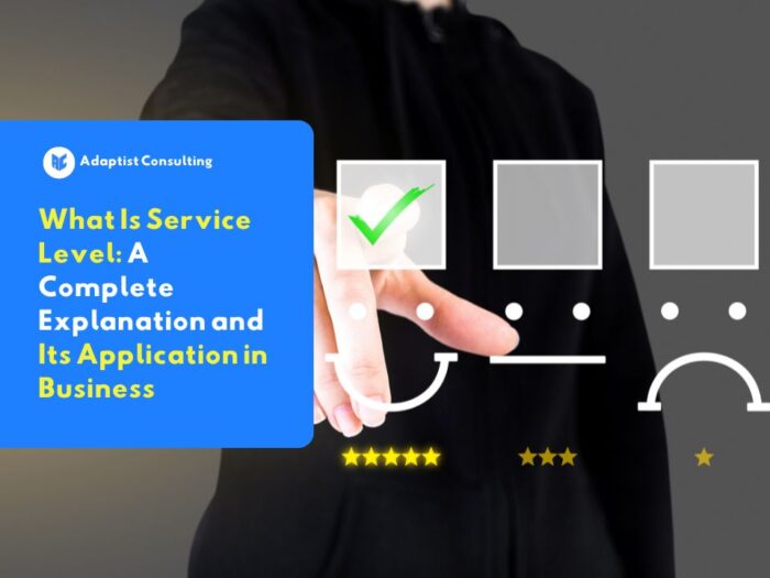 What is Service Level? Explanation and Application